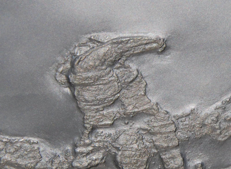 Bundenbach Fossilshop: Arthropods, Trilobites from the Hunsruck slate